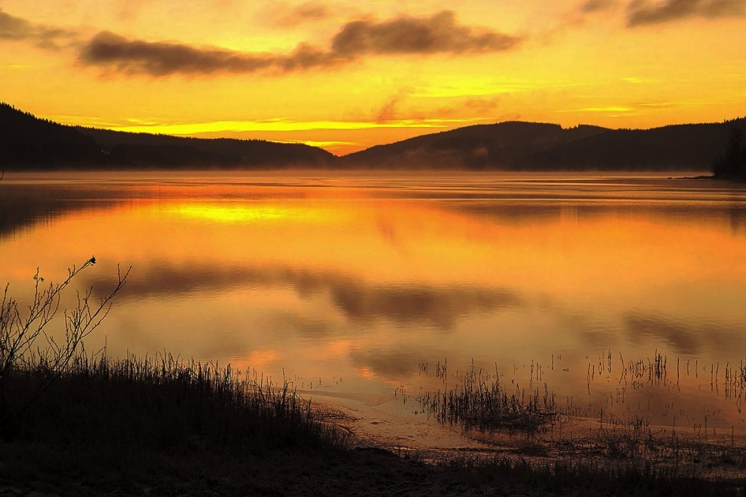 Gallery | Creative Billboards | Big Rig Wraps Advertising Work